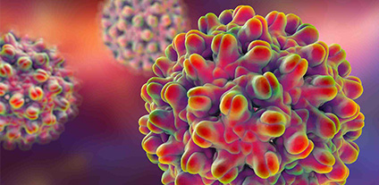 Home | The Foundation for Professional Development